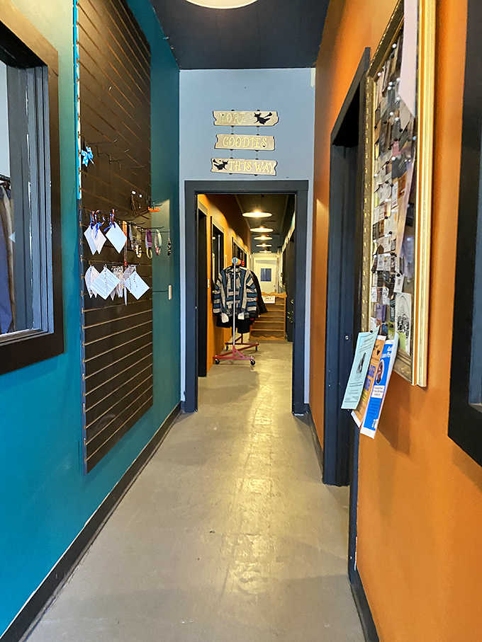 Bold orange and teal walls guide you down hallways filled with surprises around every single turn.
