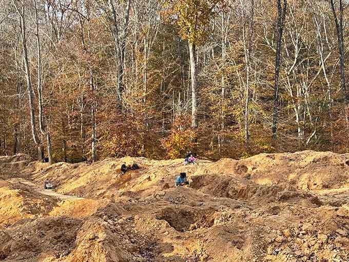 Diamond Hill Mine offers a hands-on adventure that beats scrolling through your phone any day of the week.