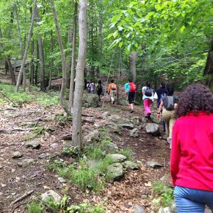 A colorful parade of adventurers navigates the rocky woodland path, proving wilderness brings people together beautifully.