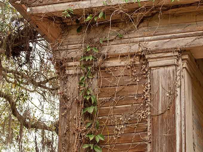 Vines embrace the old structure like time itself, slowly pulling history back into the Alabama soil.