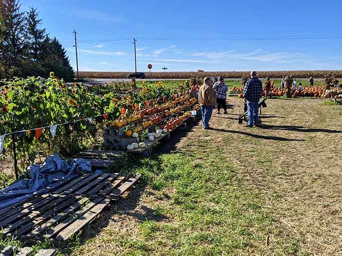 Fall means pumpkin patches where you actually pick pumpkins, not just pose with them for social media clout.