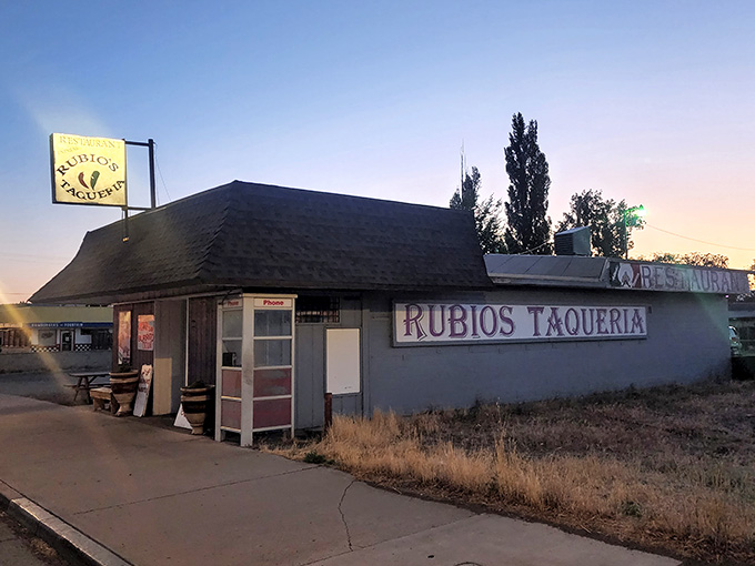 Rubio's Taquer&iacute;a sits ready to feed you authentic flavors without the LA attitude or parking nightmares.