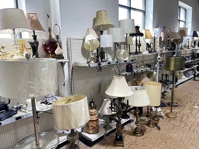 A lamp lover's paradise where every shade and base tells a different story, waiting to light up someone's life.
