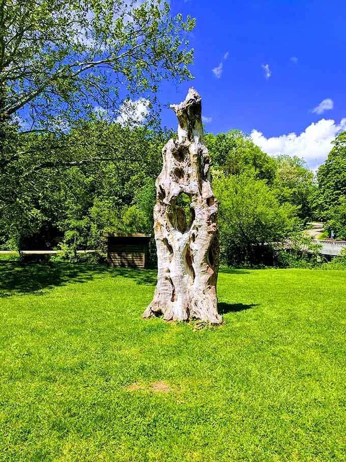 This weathered tree trunk stands like a natural sculpture, proving age brings character, not obsolescence.