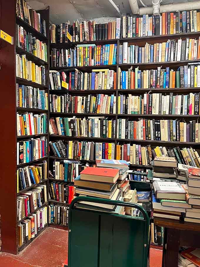 When books multiply faster than rabbits, you get walls of colorful spines begging to be explored and discovered.