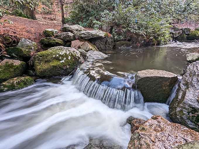 Water cascading over moss-covered rocks creates nature's own meditation soundtrack, no app required.
