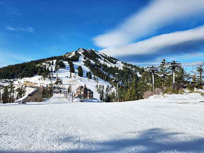 Mount Ashland proves you don't need massive resorts when you've got genuine mountain magic and zero lift lines.