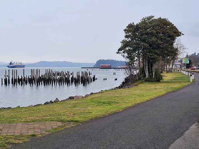 Those weathered pilings create an eerie forest in the water, now home to birds instead of bustling docks.