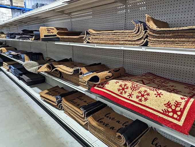 From festive holiday designs to practical everyday mats, these doormats welcome guests without making your credit card weep.