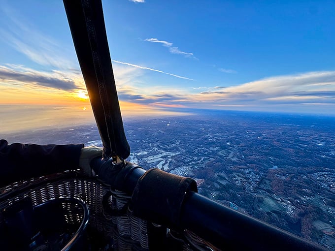 The view from the basket reveals why birds never seem stressed about their commute to work each morning.