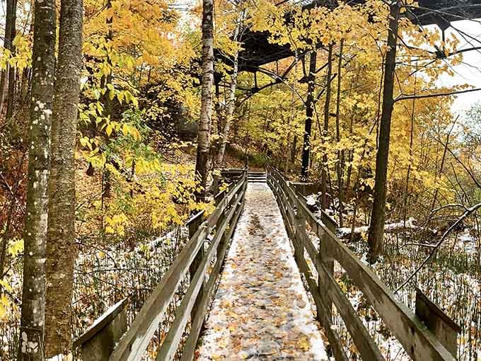 This footbridge through autumn woods leads somewhere magical, or at least away from your everyday responsibilities for awhile.