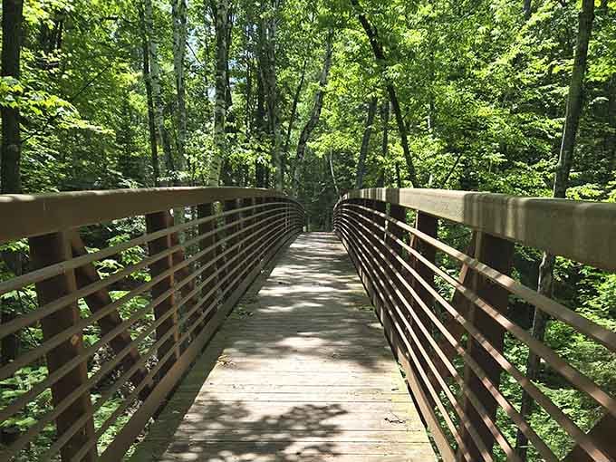 Where wooden bridges lead you deeper into nature's cathedral, and your phone signal politely excuses itself.