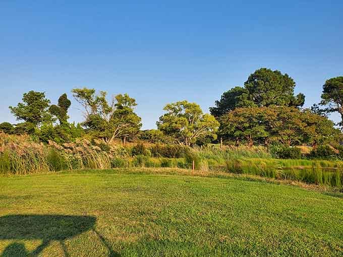 Where manicured greens meet natural wetlands, creating a golfer's paradise that's easy on the eyes.