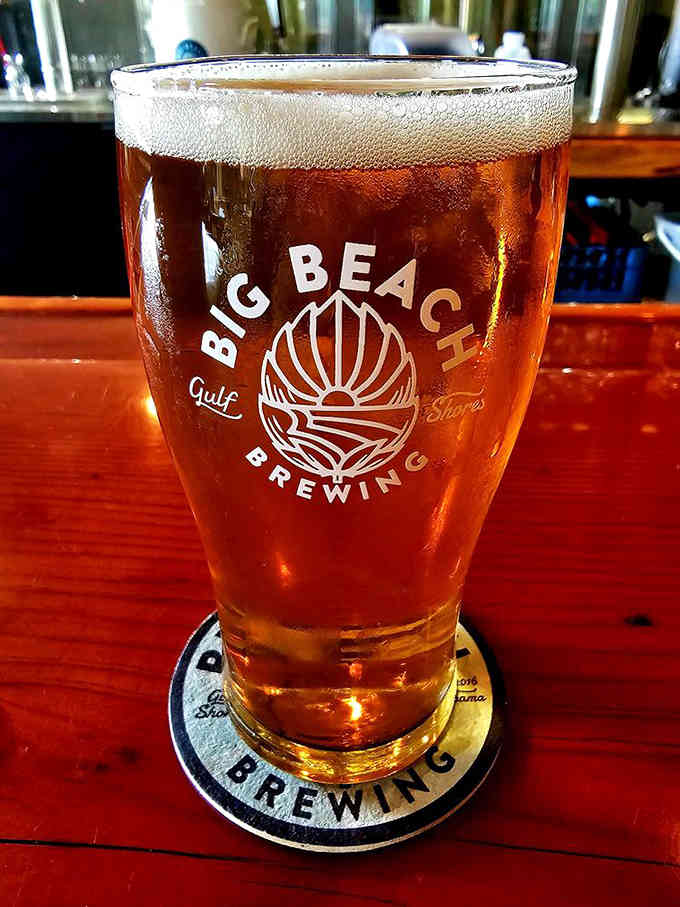 That golden glow isn't just the lighting, it's liquid sunshine brewed right here in Gulf Shores, Alabama.