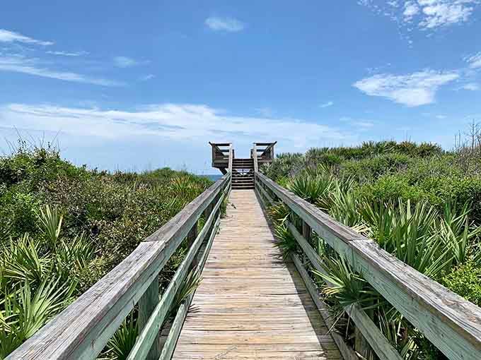 Wooden boardwalks lead you over dunes toward discoveries that no theme park could ever replicate.
