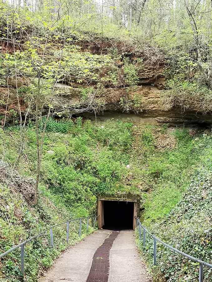 That unassuming doorway leads to wonders that make your basement look positively boring by comparison.