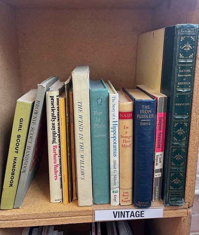 Vintage treasures waiting on wooden shelves, each spine holding stories from decades past and forgotten library sales.