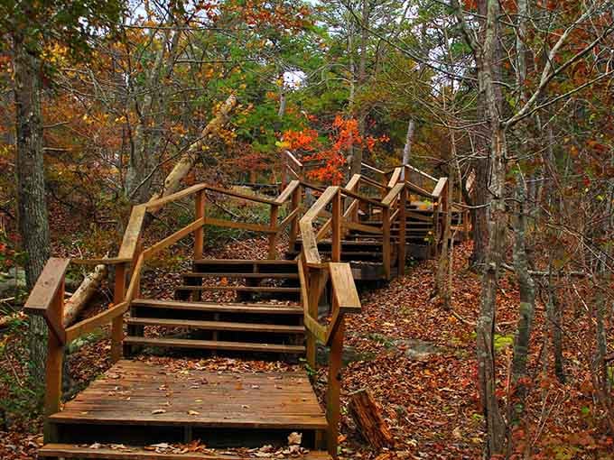 These wooden stairs wind through fall foliage like a stairway to heaven, assuming heaven has really good hiking trails.