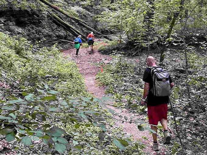 Into the hollow they go, following a trail that promises the kind of quiet you forgot existed.
