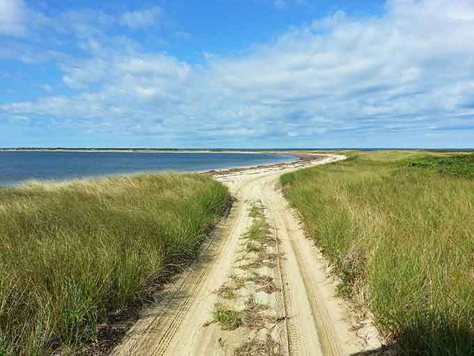 Golden grasses frame sandy tracks leading to endless blue horizons where the world feels refreshingly uncomplicated and wonderfully vast.