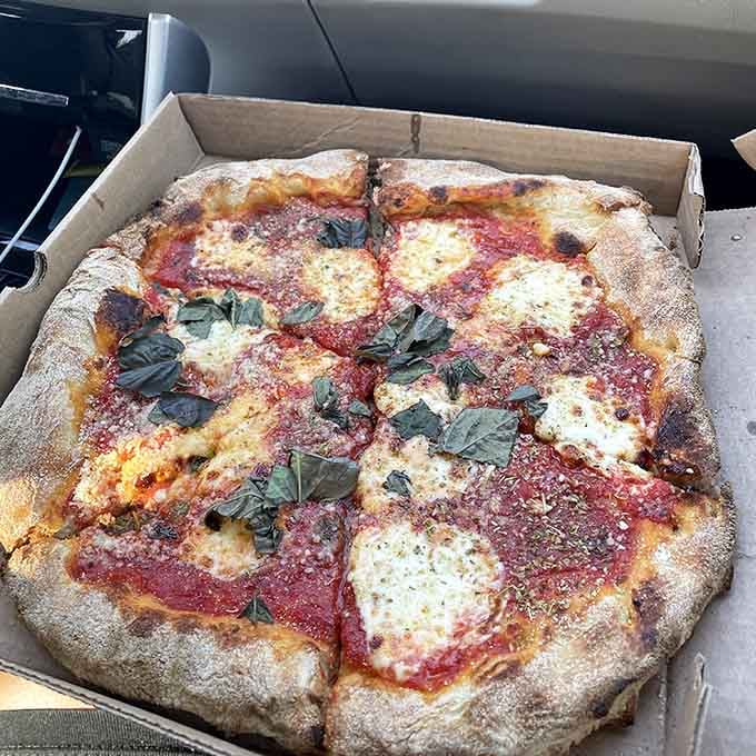 Classic Margherita with charred crust edges and pooled mozzarella proves less is absolutely more when done right.
