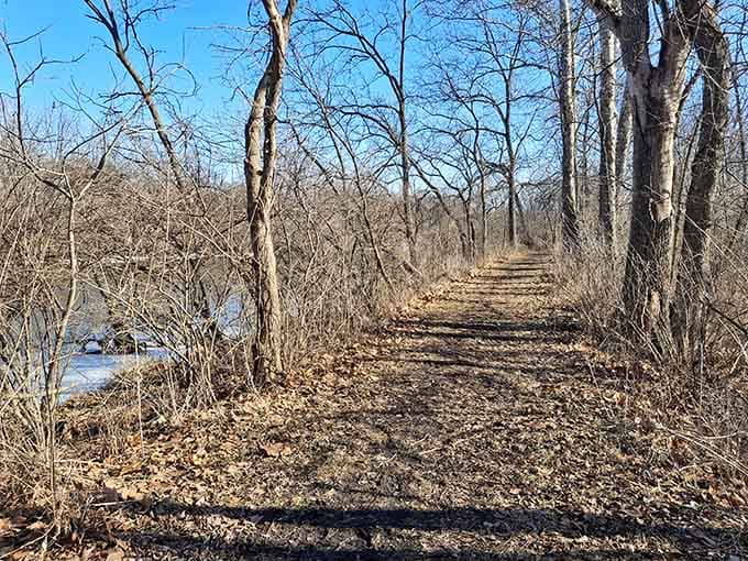 The towpath where mules once pulled canal boats now welcomes joggers who definitely aren't pulling anything but themselves.