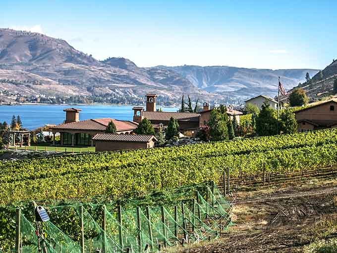 Vineyard rows stretch toward the lake like nature's own retirement plan: peaceful, productive, and perfectly positioned.
