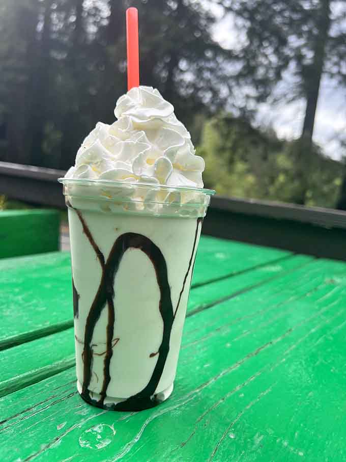 That toasted marshmallow shake looks like someone captured a campfire memory and made it drinkable, whipped cream mountain included.