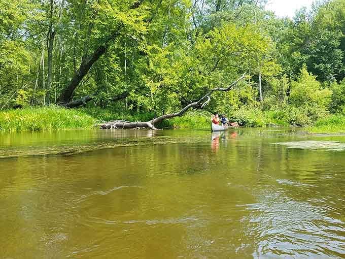 Paddling through Clear Springs Nature Preserve beats sitting in traffic any day of the week.