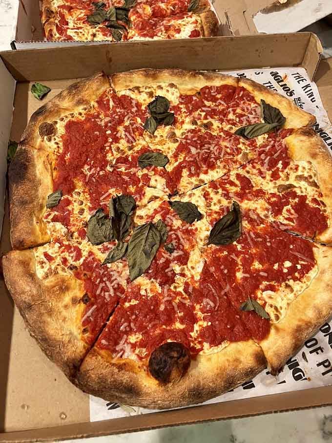 The Brooklyn Round arrives like an old friend, familiar and comforting with that perfect cheese-to-sauce ratio.