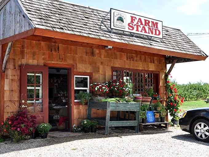 Farm stands like this dot the route, offering nature's candy straight from the fields to your grateful hands.