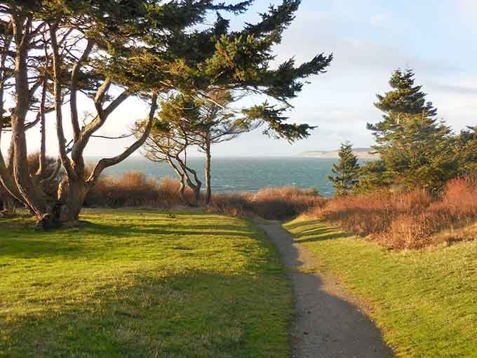 Windswept trees frame the coastline in a view that makes every screensaver on earth look utterly inadequate by comparison.