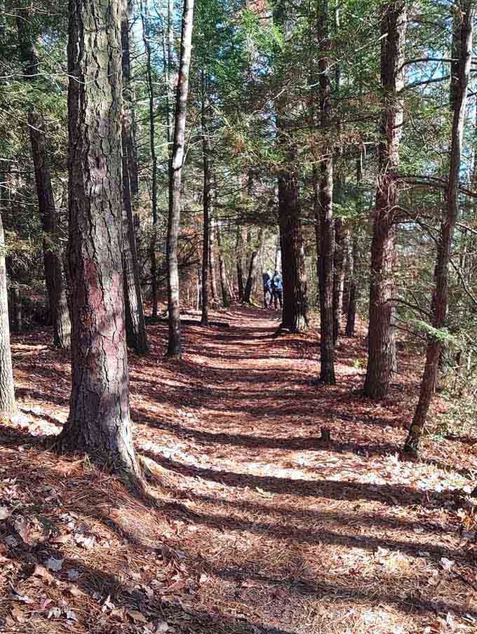 The trail that leads to magic looks surprisingly normal, which is exactly how the best adventures always begin.