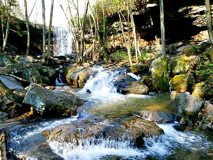 Downstream from the main event, the creek continues its energetic journey through ancient rock formations.