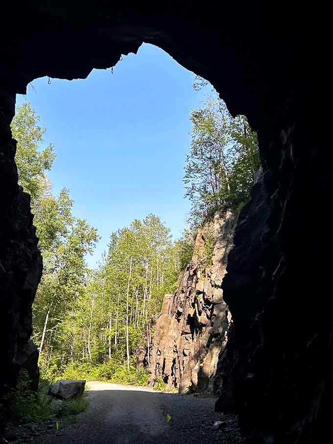 Standing inside looking out transforms you into a silhouette against Minnesota's bright summer green.