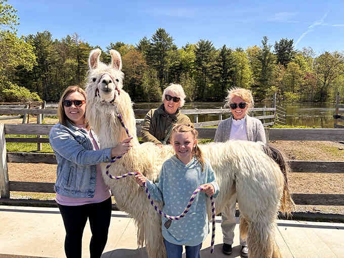 Three generations, two llamas, and one perfect spring day&mdash;this is what quality family time looks like when you think outside the box.