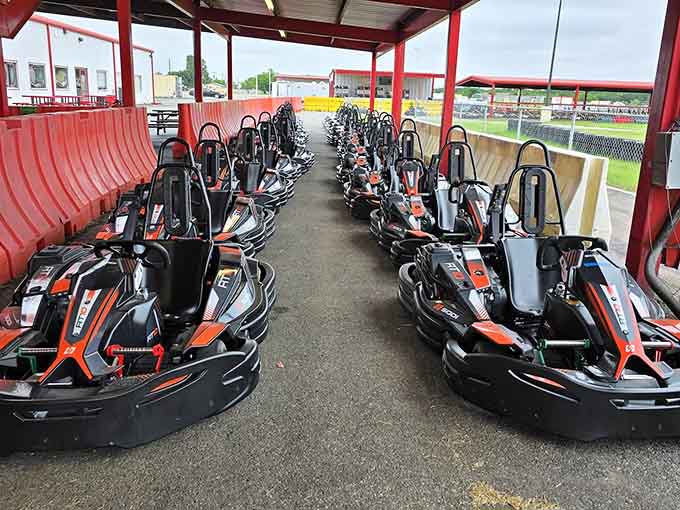 Rows of sleek karts lined up like eager racehorses, ready to transform ordinary folks into speed demons.