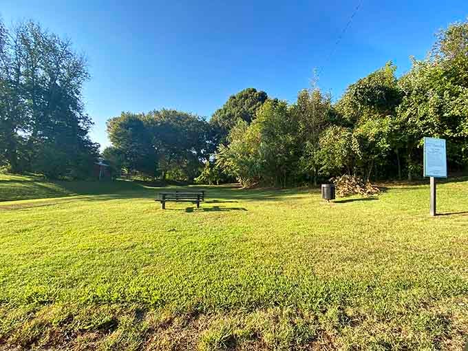 Golden hour bathes the park's open lawn, where a simple bench becomes the best seat in town.