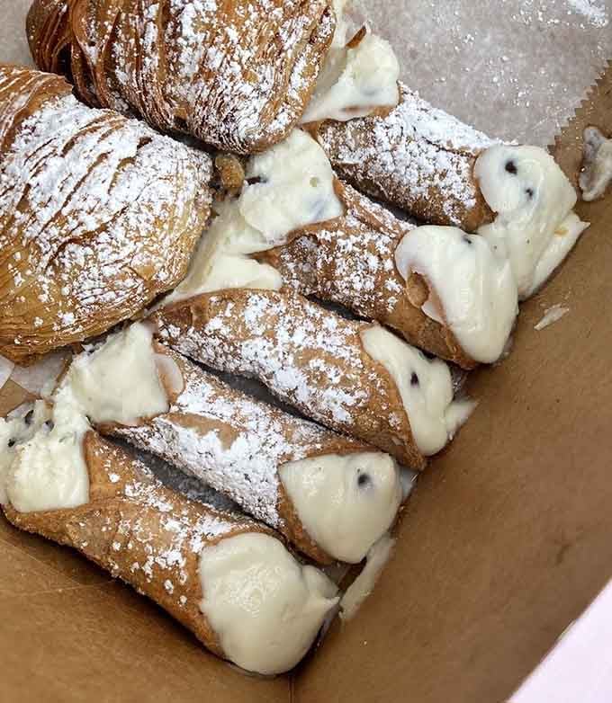 Golden shells dusted with powdered sugar, bursting with sweet ricotta cream that would make any Italian nonna weep with joy.