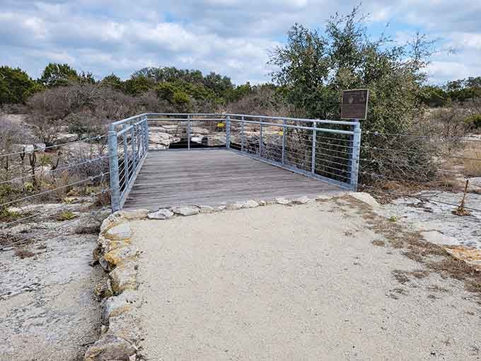 The observation deck offers front-row seats to nature's theater, no ticket scalpers or overpriced concessions required.
