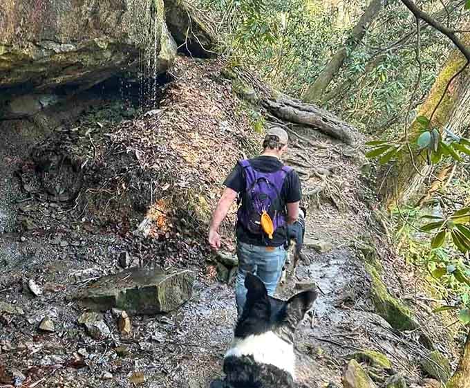 Trail companions welcome: this hiker and pup prove the journey's better with a four-legged friend along.