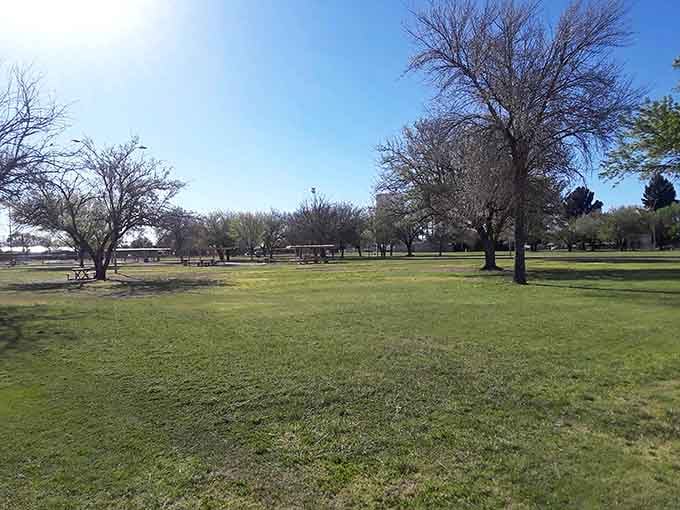 Green grass in Arizona is basically a miracle, and Douglas parks deliver without requiring a trust fund.