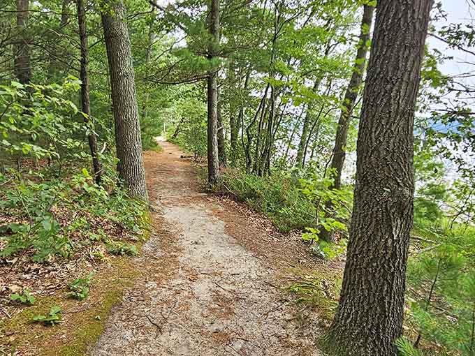 A trail through the woods that promises adventure without requiring a Sherpa or protein bars.