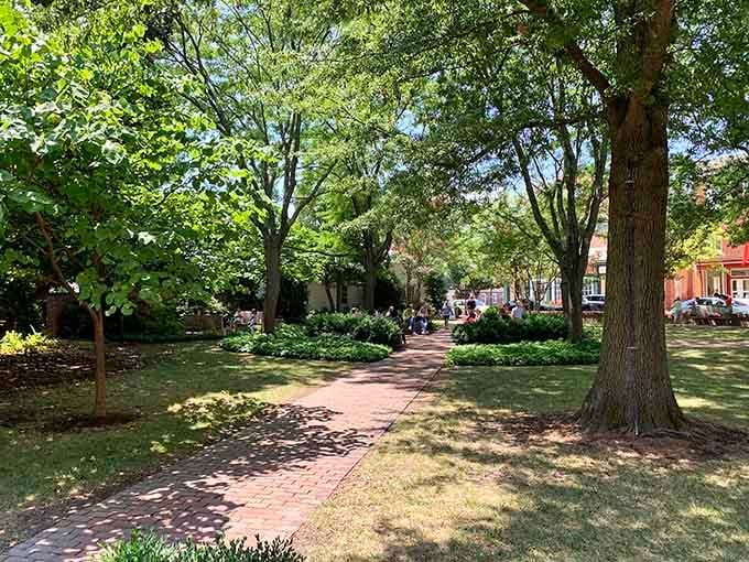 Tree-lined paths that make you want to slow down, breathe deep, and remember what relaxation actually feels like.