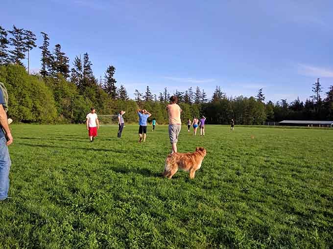 Buck Park proves that simple green spaces and blue skies are all you really need for happiness.