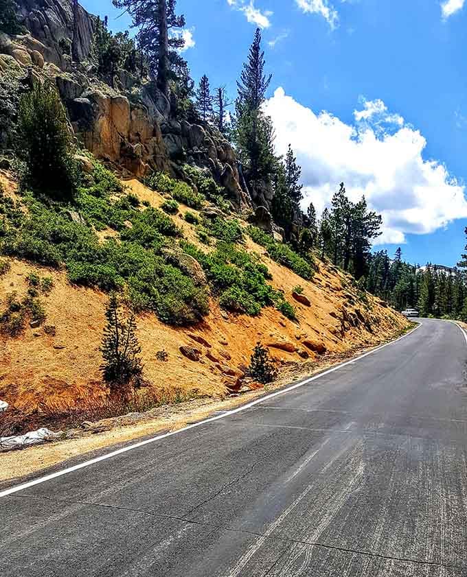 Golden hillsides meet blue sky in a color combination that would make any interior designer weep with joy.