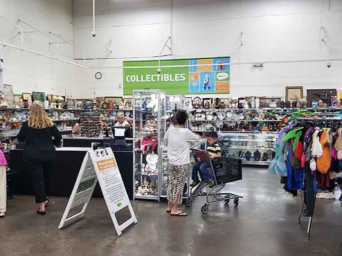 The collectibles section is where nostalgia lives, surrounded by glass cases protecting yesterday's treasures from eager hands.