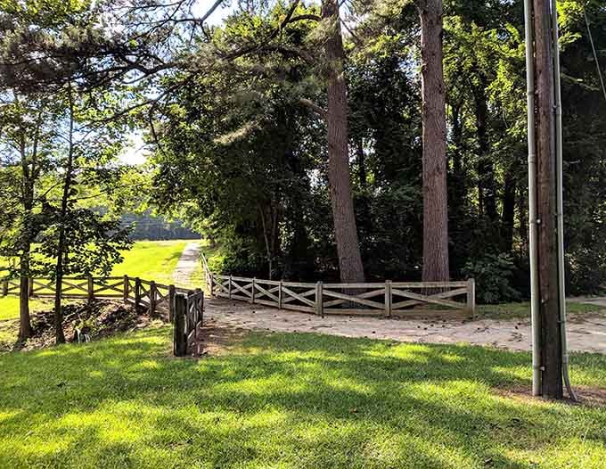 Shaded paths and wooden bridges that make you forget your phone exists for a blissful few minutes.