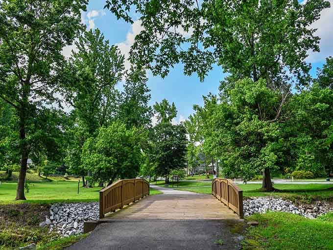 Sutton Park offers peaceful walking paths where your biggest decision is which bench to claim for the afternoon.
