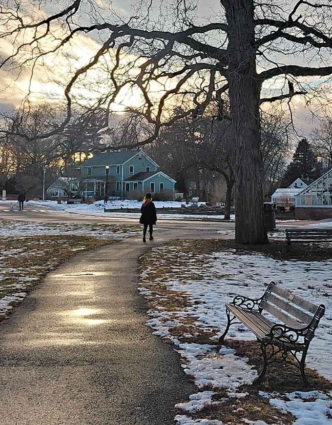 Winter transforms the park into a peaceful snow globe scene minus the annoying shaking part.